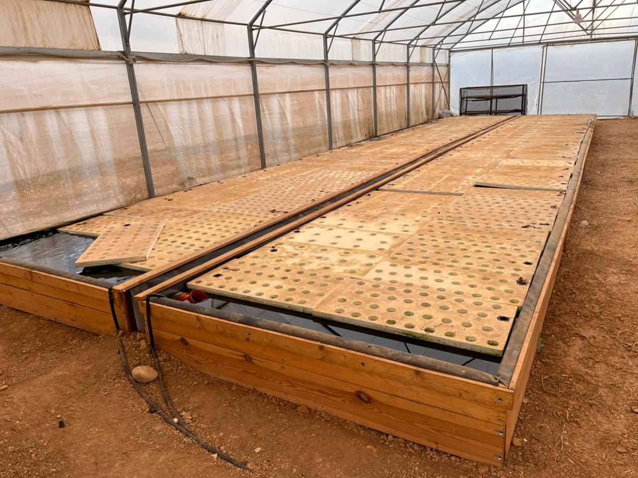 SOLAR-POWERED AQUAPONICS IN HERMEL - IGT